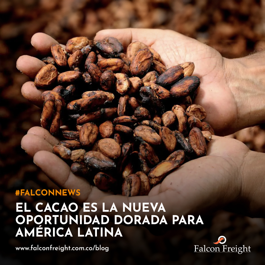 El Cacao es la nueva oportunidad Dorada para América Latina